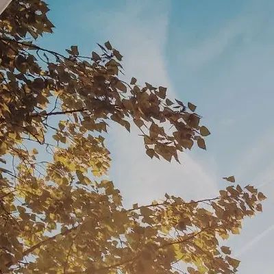 فروش آپارتمان،شهرک‌امام،خانه‌سازی در تبریز - ۲۹ آذر ۱۴۰۴