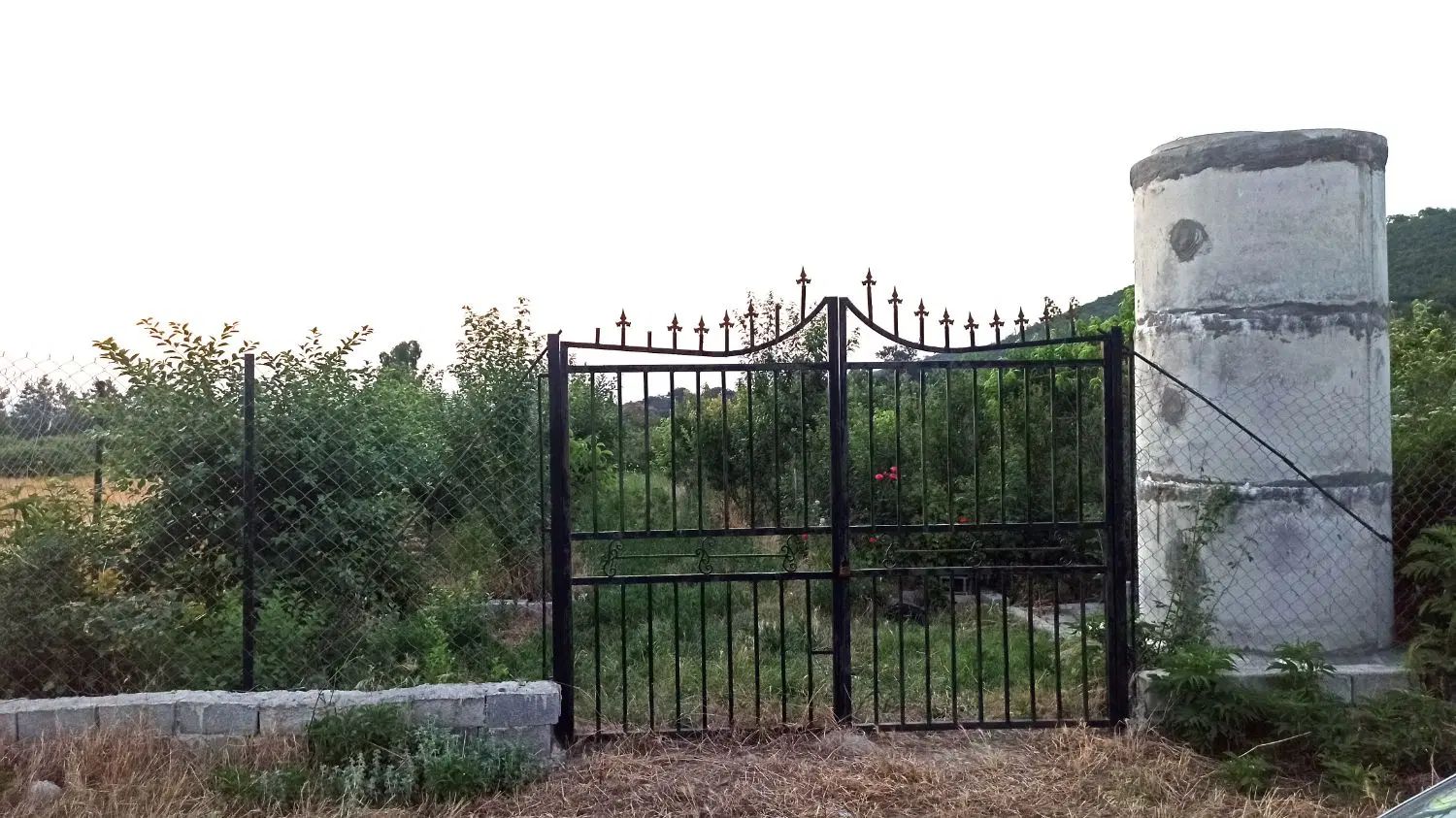 فروش باغ جاده توسکستان در گرگان - ۹ دی ۱۴۰۴