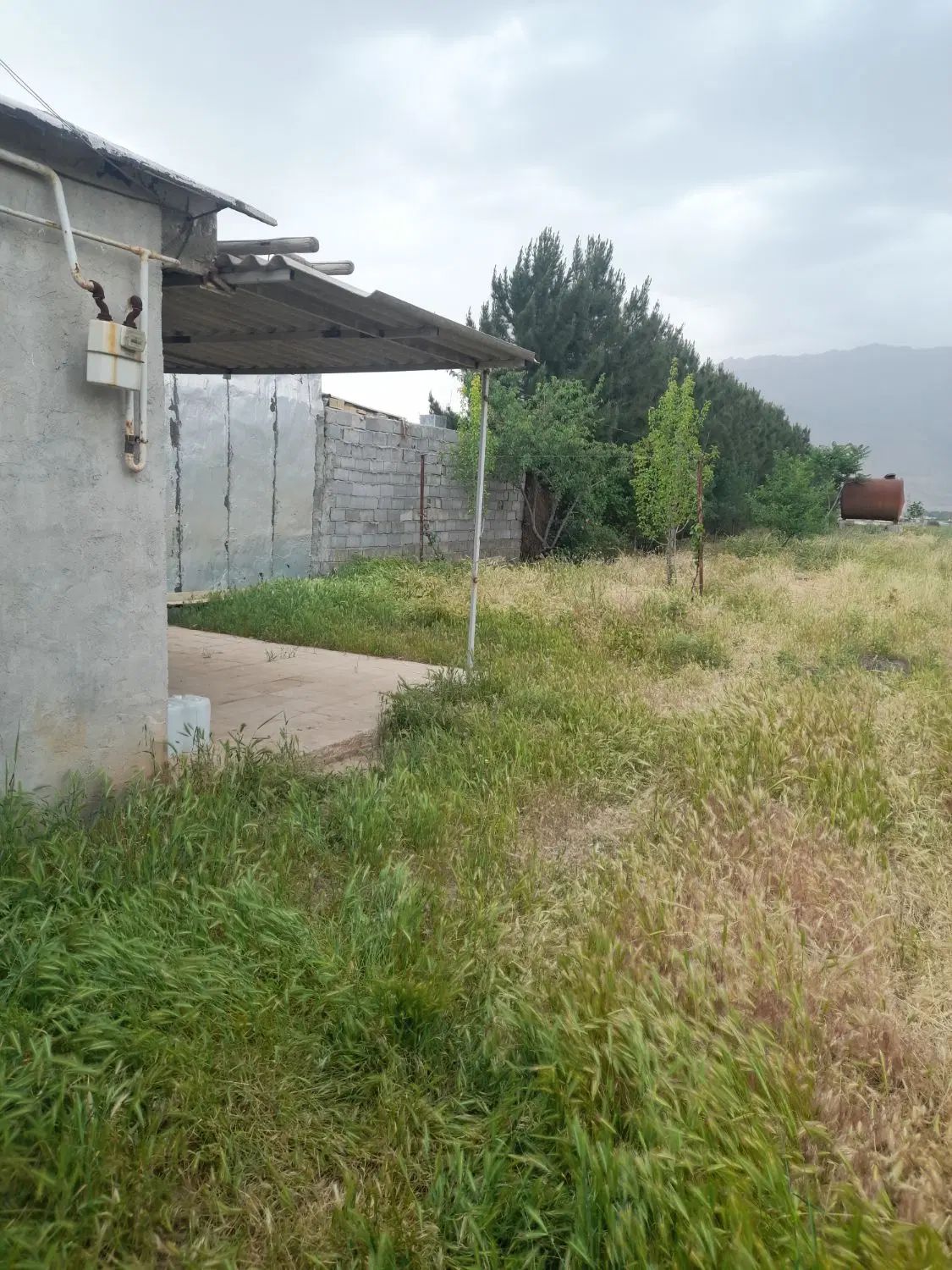 فروش باغ در کرمانشاه - ۵ دی ۱۴۰۴