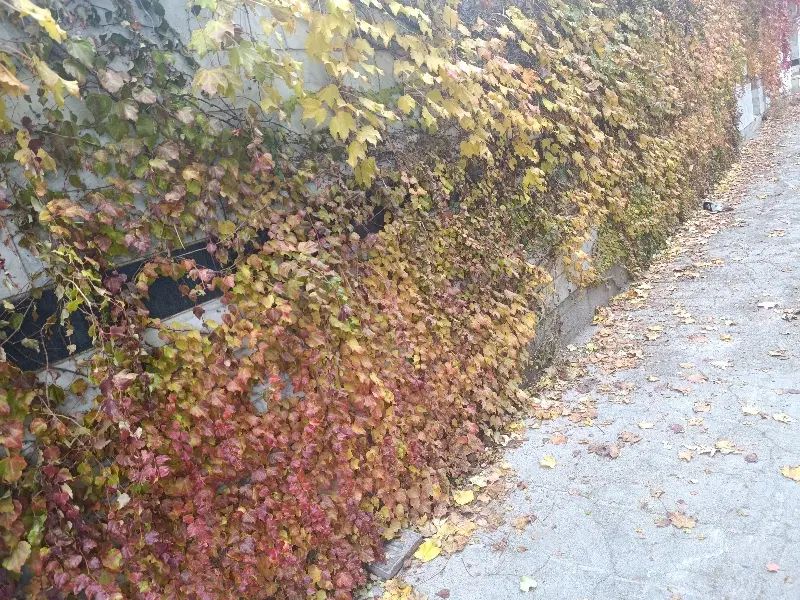 فروش زمین در دردشت مهدیشهر سمنان در مهدی شهر - ۲۵ آذر ۱۴۰۴