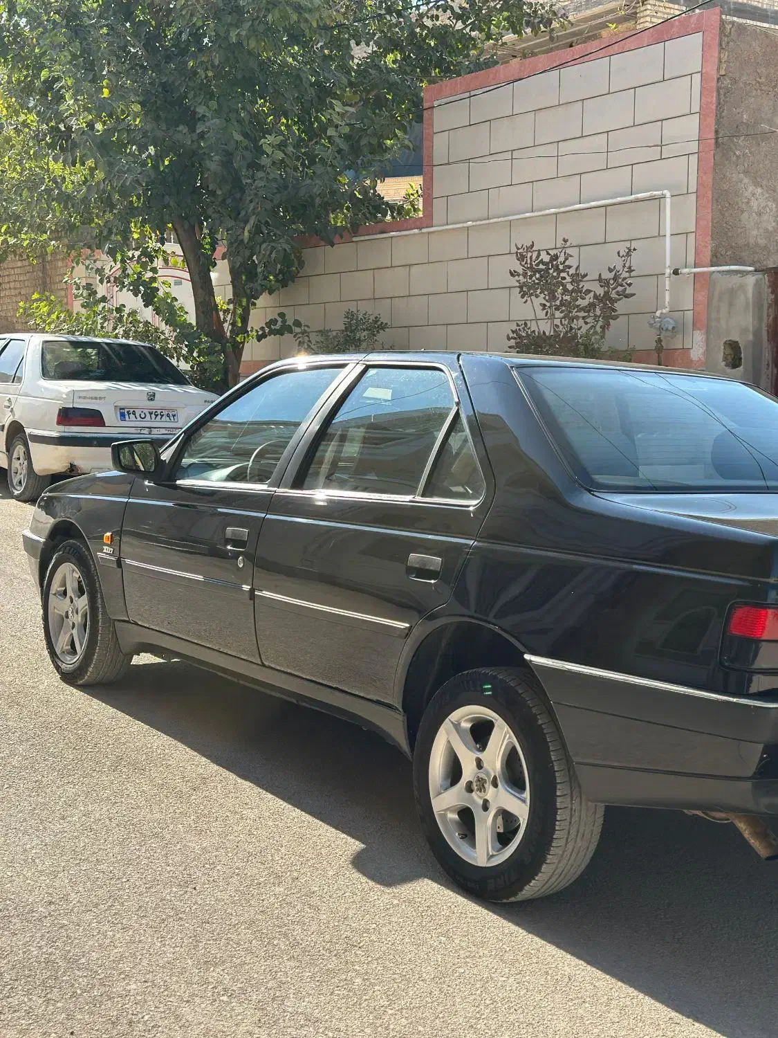 405مشکی. در شیراز - ۱ آذر ۱۴۰۴