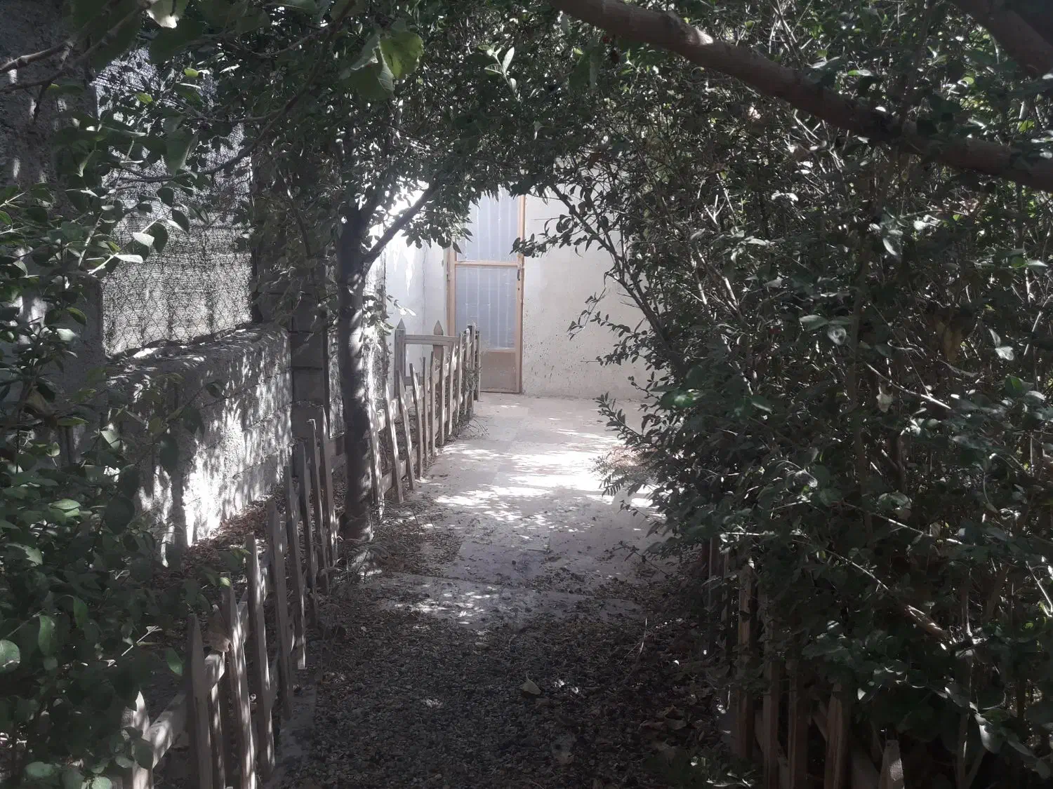 فروش باغ نقلی در اصفهان - ۷ دی ۱۴۰۴