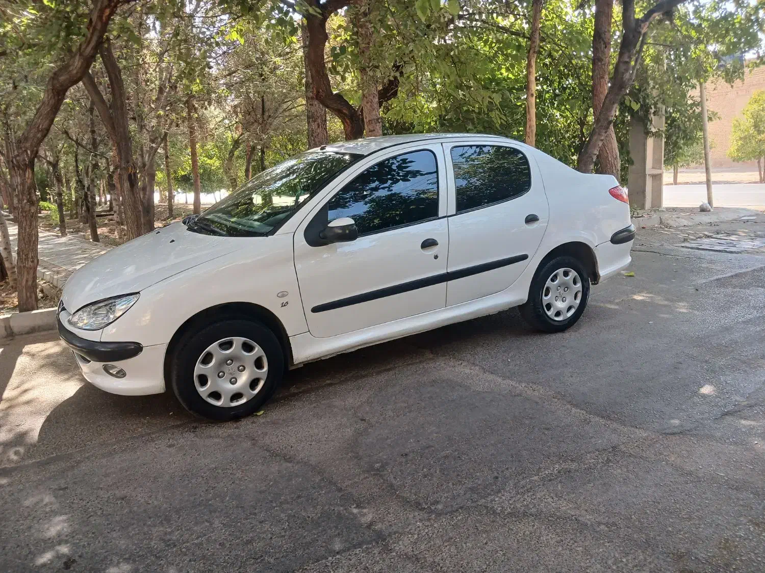 ۲۰۶ SD صندوقدار V20 در شیراز - ۱۹ آبان ۱۴۰۴