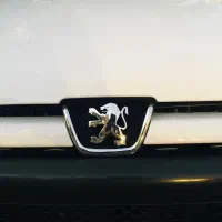 206 tu3 1400 در شیراز - ۳ آبان ۱۴۰۴